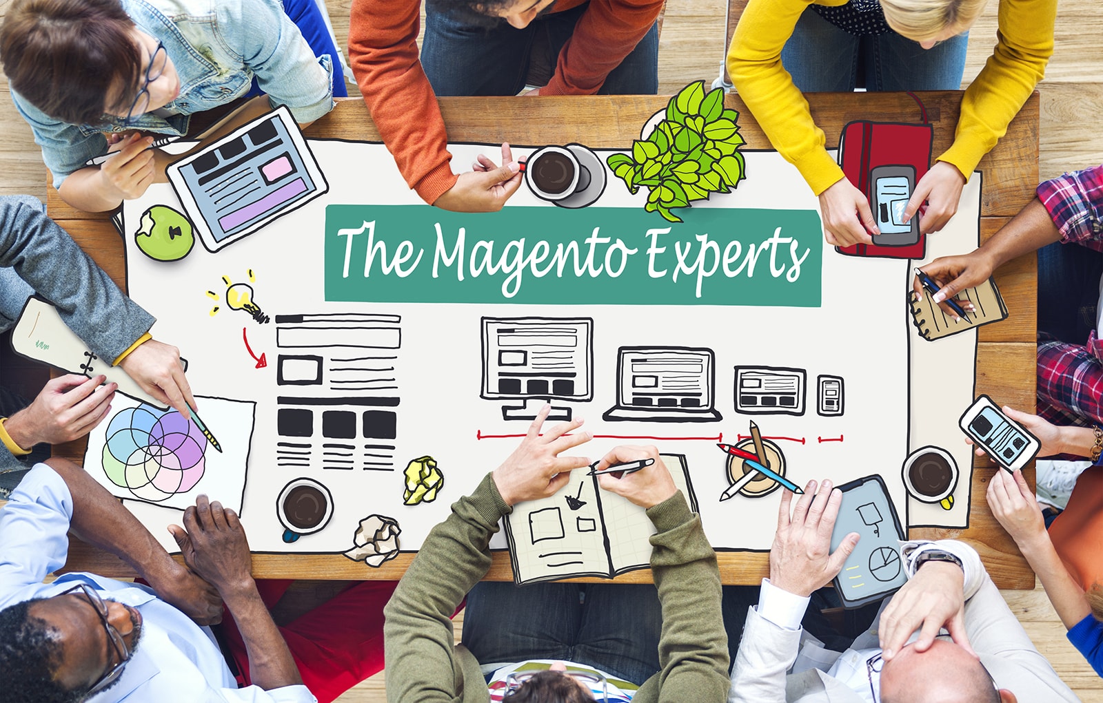 The Magento Experts - Webranch
